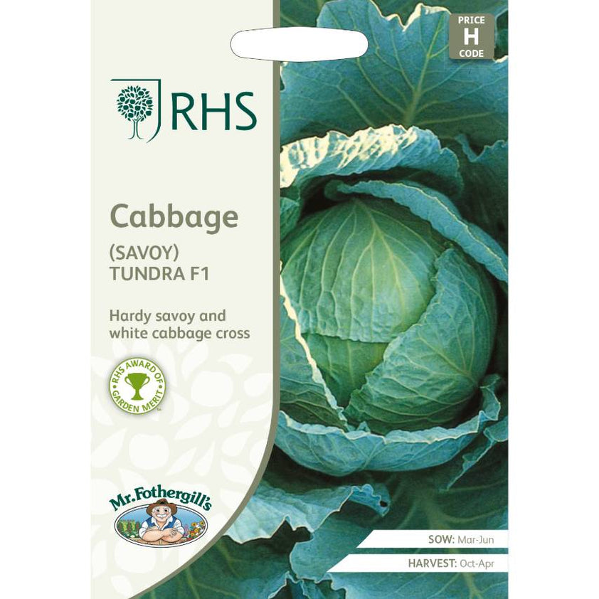 RHS cabbage savoy Tundra F1 - Verdant