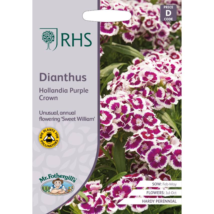 RHS dianthus Hollandia Purple Crown - Verdant