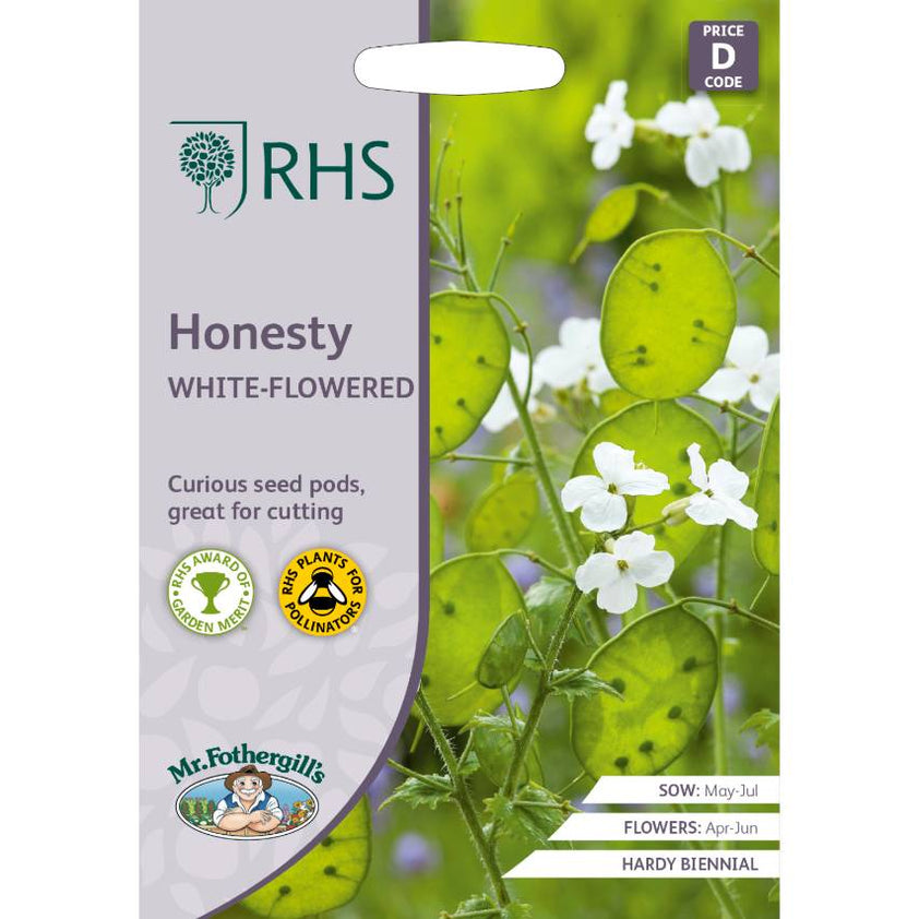 RHS honesty White Flowered - Verdant