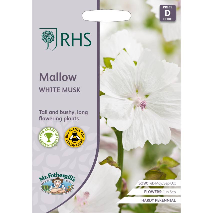 RHS mallow White Dusk - Verdant