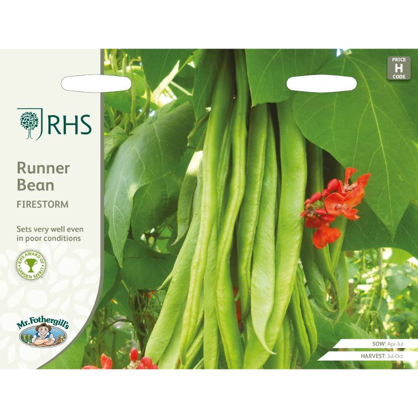 RHS runner bean Firestorm - Verdant