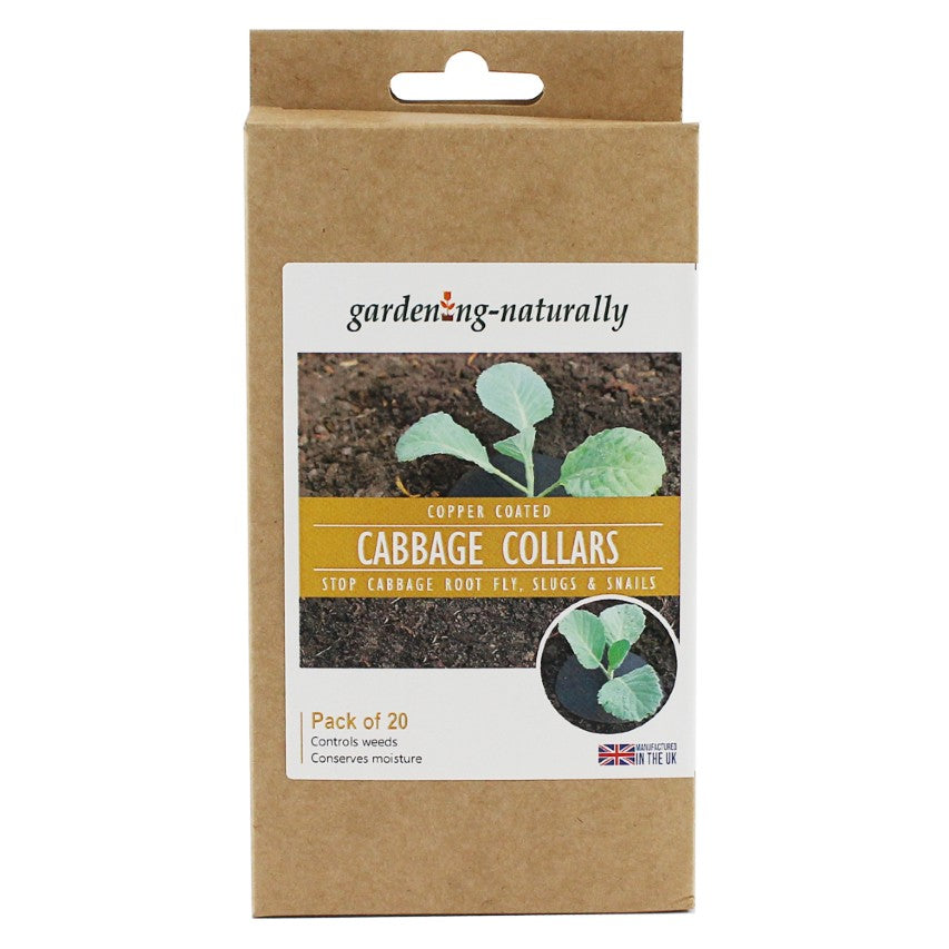 Gardening Naturally Cabbage Collars - Verdant